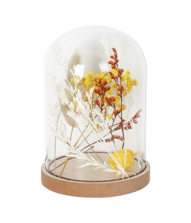 Nature Home Deko | KiK Onlineshop